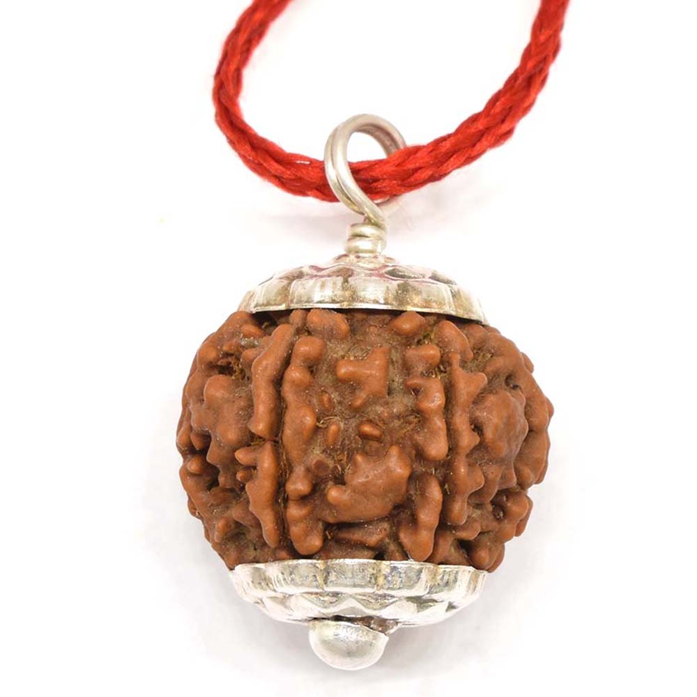 6 Mukhi Rudraksha Nepal | Certified Natural Six Mukhi Rudraksha Mala